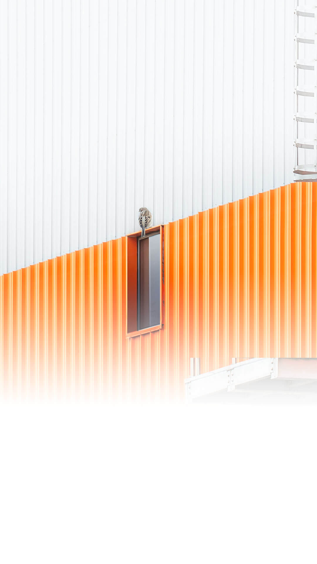 vivo Y16-AI Dual Rear Camera, Side Fingerprint | vivo Malaysia