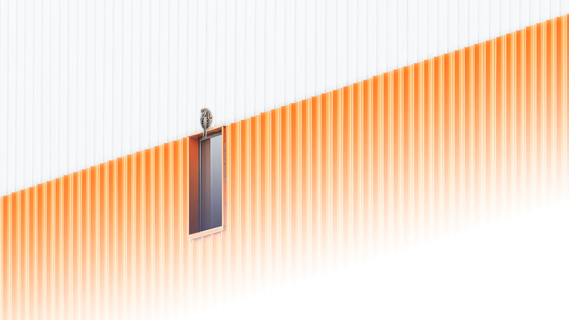 vivo Y16-AI Dual Rear Camera, Side Fingerprint | vivo Malaysia