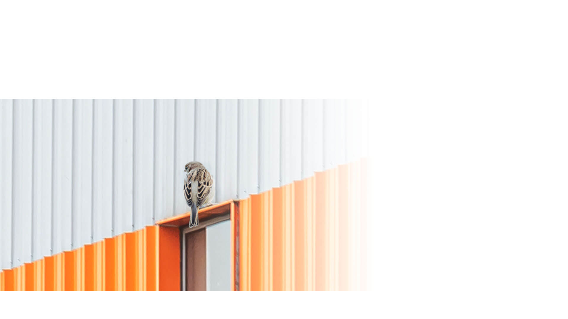 vivo Y16-Kamera Mode Triple, RAM 4+4GB | vivo Indonesia