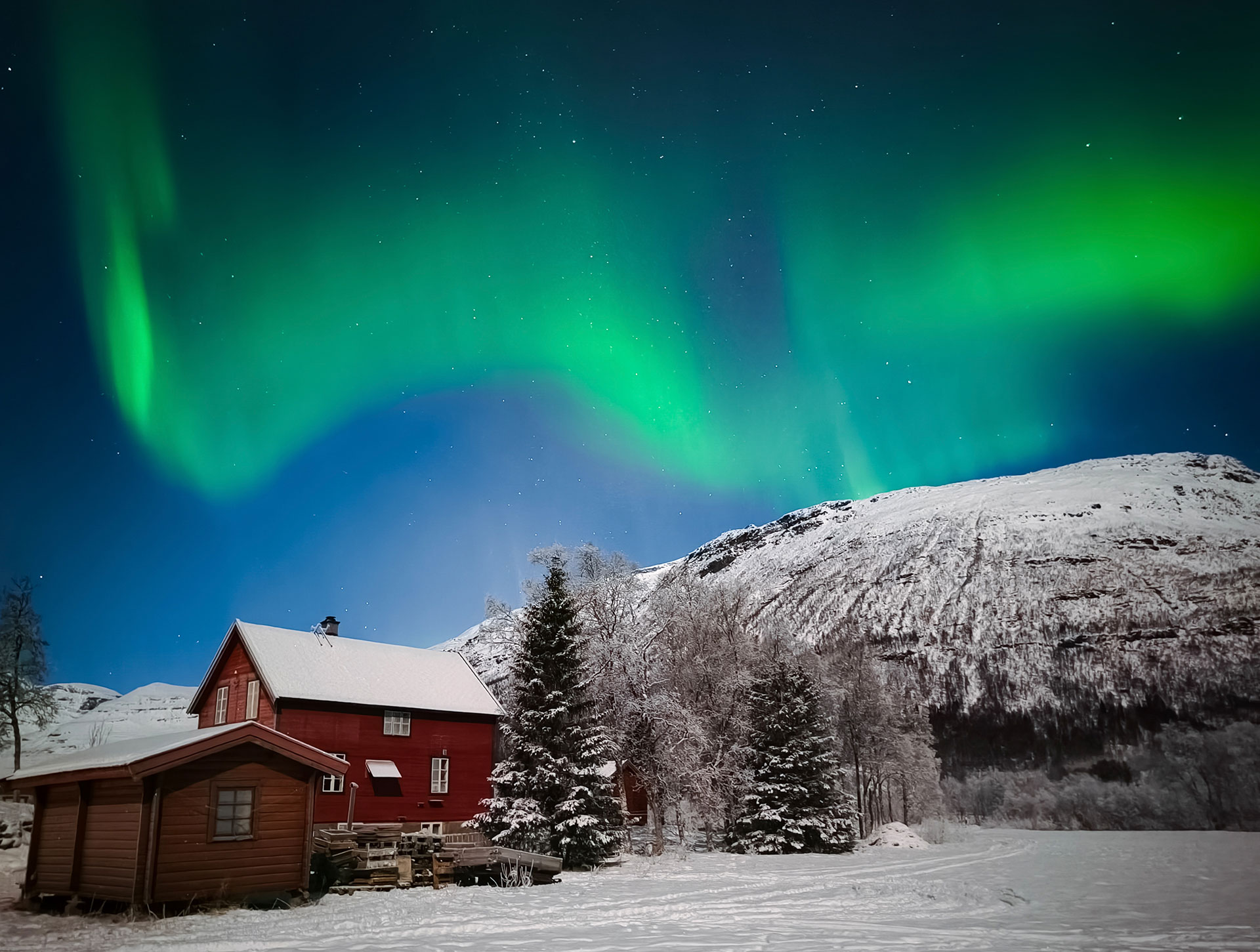 vivo X100 Pro-ZEISS 1-inch Main Camera+vivo V3 Chip | vivo Global